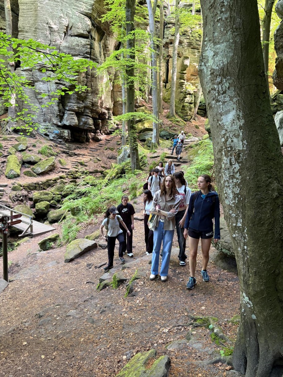 Lycée de Garçons Esch | Excursion au Mullerthal (classes 3B, 3C1, 3C2 ...