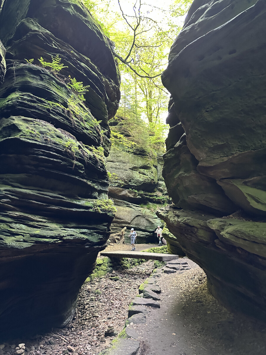 Lycée de Garçons Esch | Excursion au Mullerthal (classes 3B, 3C1, 3C2 ...