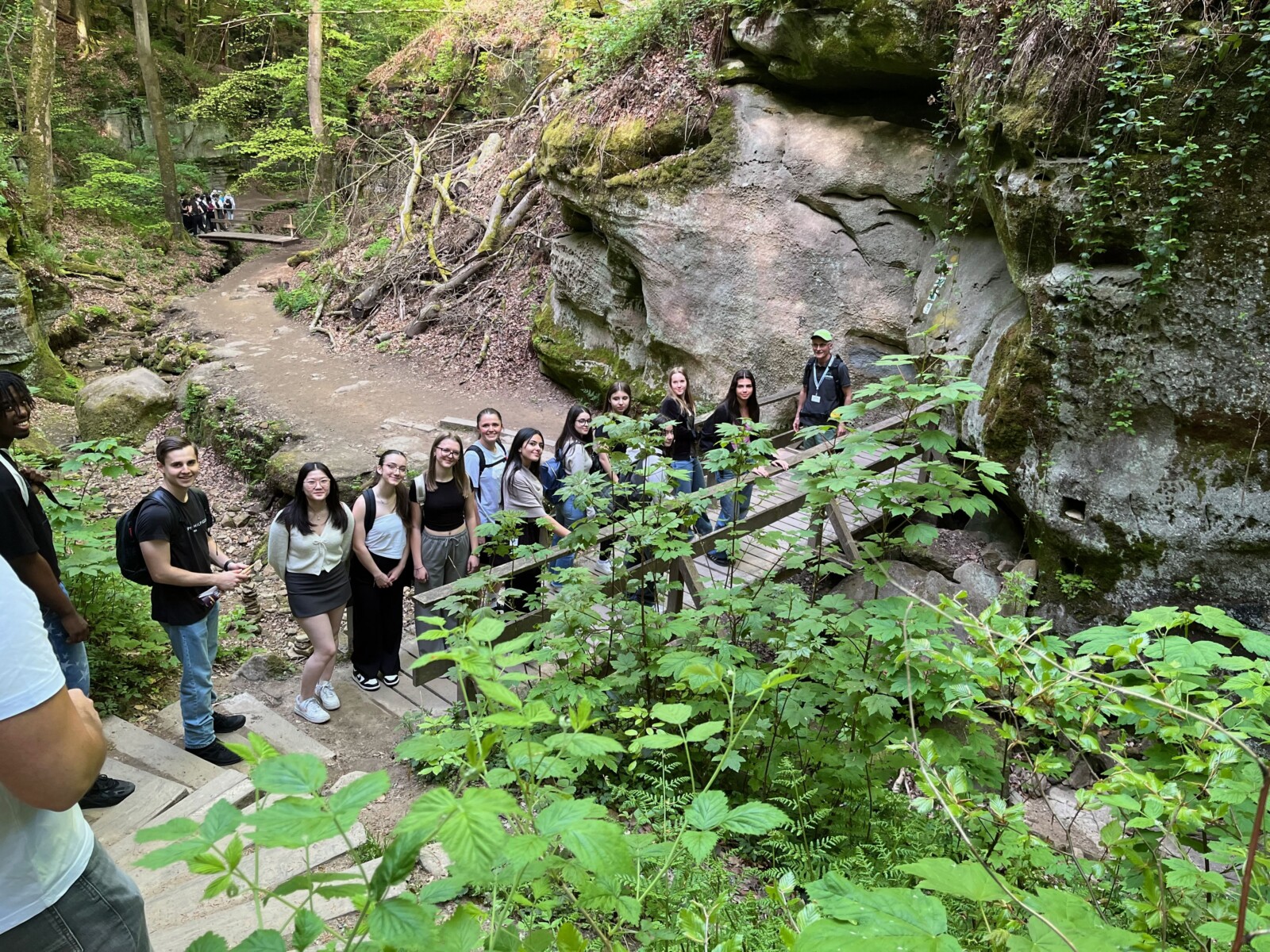 Lycée de Garçons Esch | Excursion au Mullerthal (classes 3B, 3C1, 3C2 ...