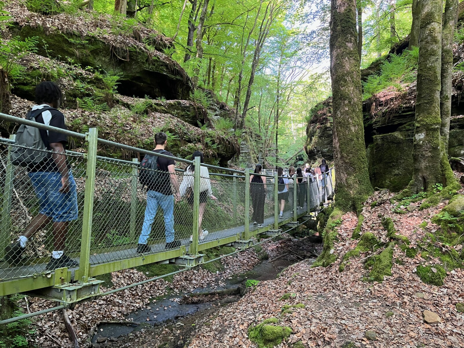 Lycée de Garçons Esch | Excursion au Mullerthal (classes 3B, 3C1, 3C2 ...