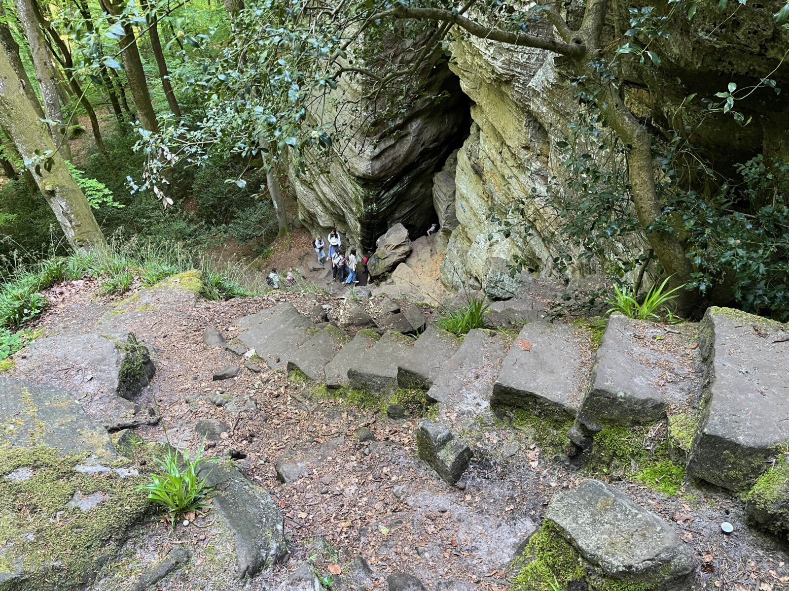 Lycée de Garçons Esch | Excursion au Mullerthal (classes 3B, 3C1, 3C2 ...